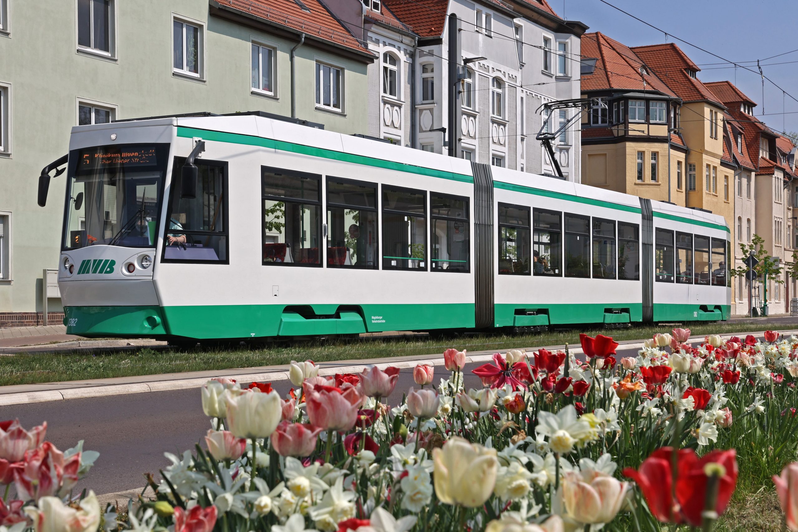 MVB › Magdeburger Verkehrsbetriebe
