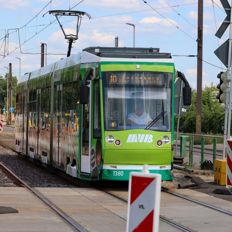 MVB › Magdeburger Verkehrsbetriebe