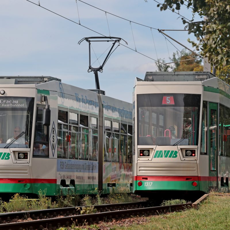 MVB › Magdeburger Verkehrsbetriebe